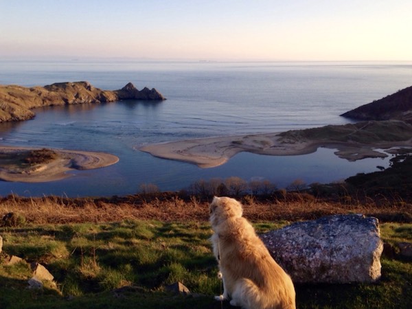 Caravans & Camping | Three Cliffs Bay Holiday Park - Gower Camping